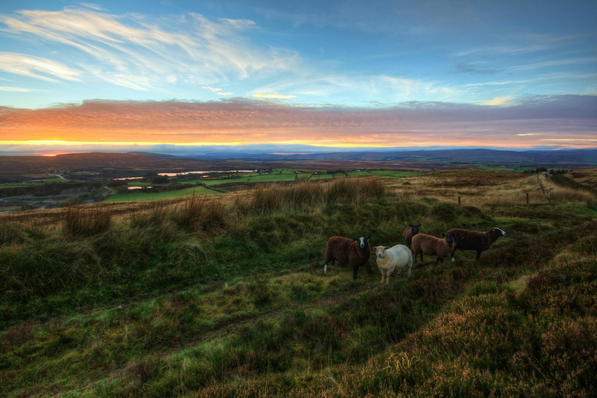 Northern Ireland Climate Change Adaptation Programme Report 2019-2024 ...